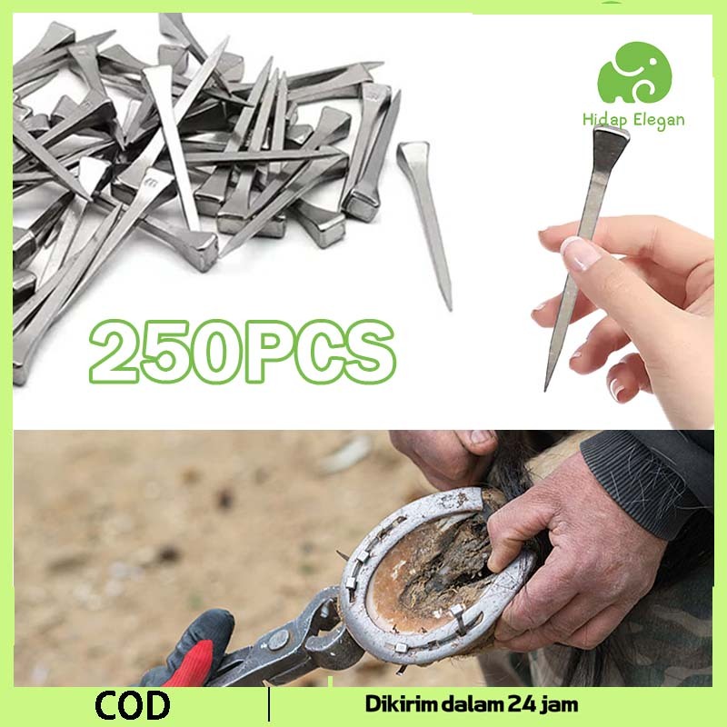 Jual 250 Pcs E3 Import Paku Sepatu Kuda Stainless Steel Paku Sepatu ...