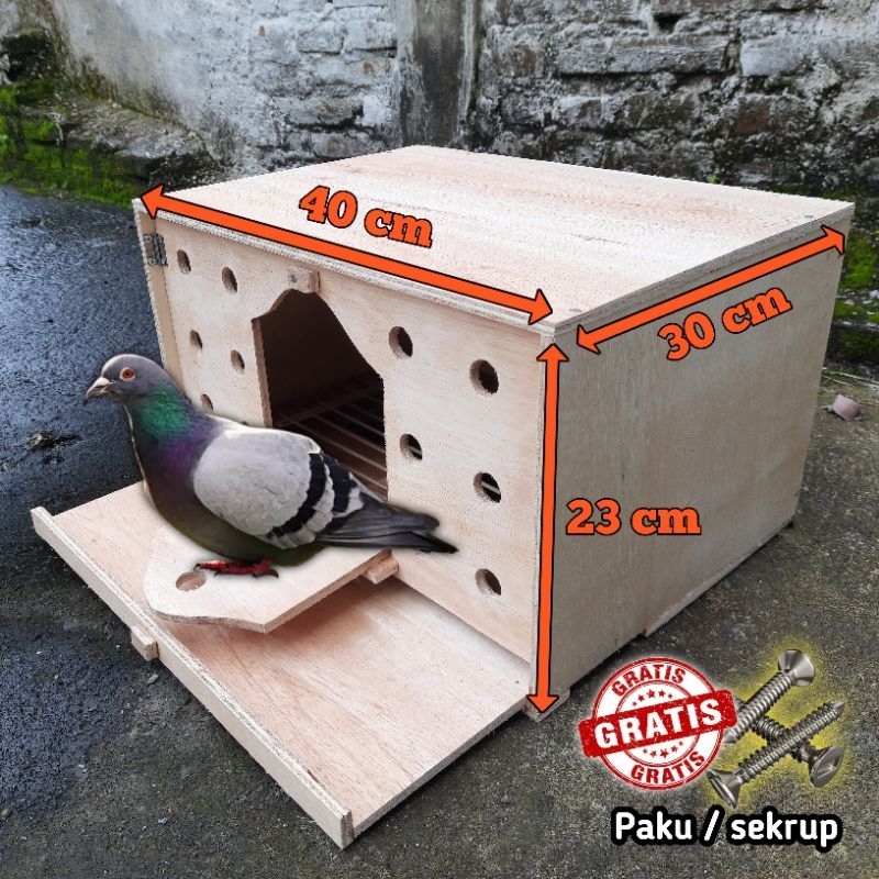 Jual Kandang burung merpati dara triplek tebal | Shopee Indonesia