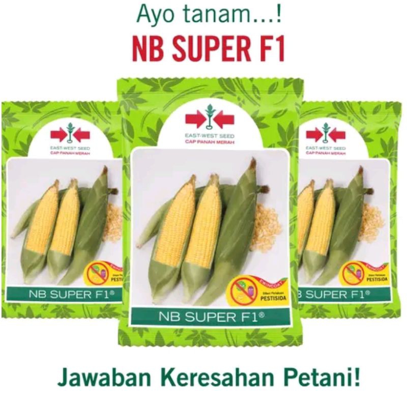 Jual Benih Jagung Manis NB SUPER F1 | Shopee Indonesia