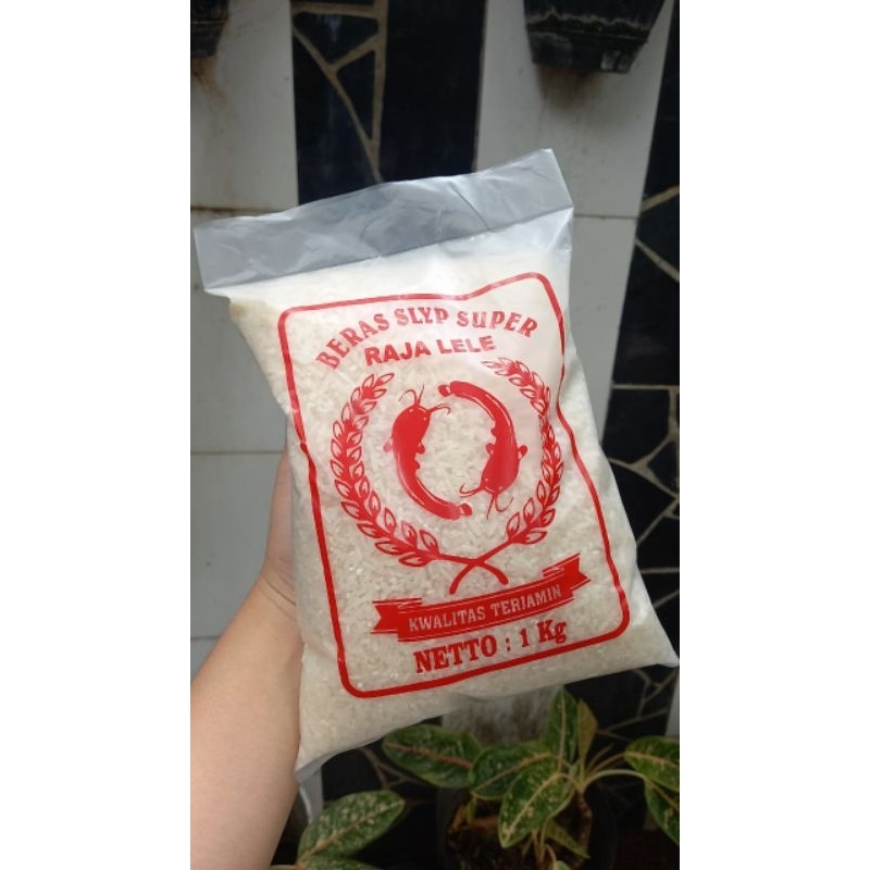 Jual BERAS RAJA LELE KEMASAN 1 KG BERSIH PUNEL | Shopee Indonesia