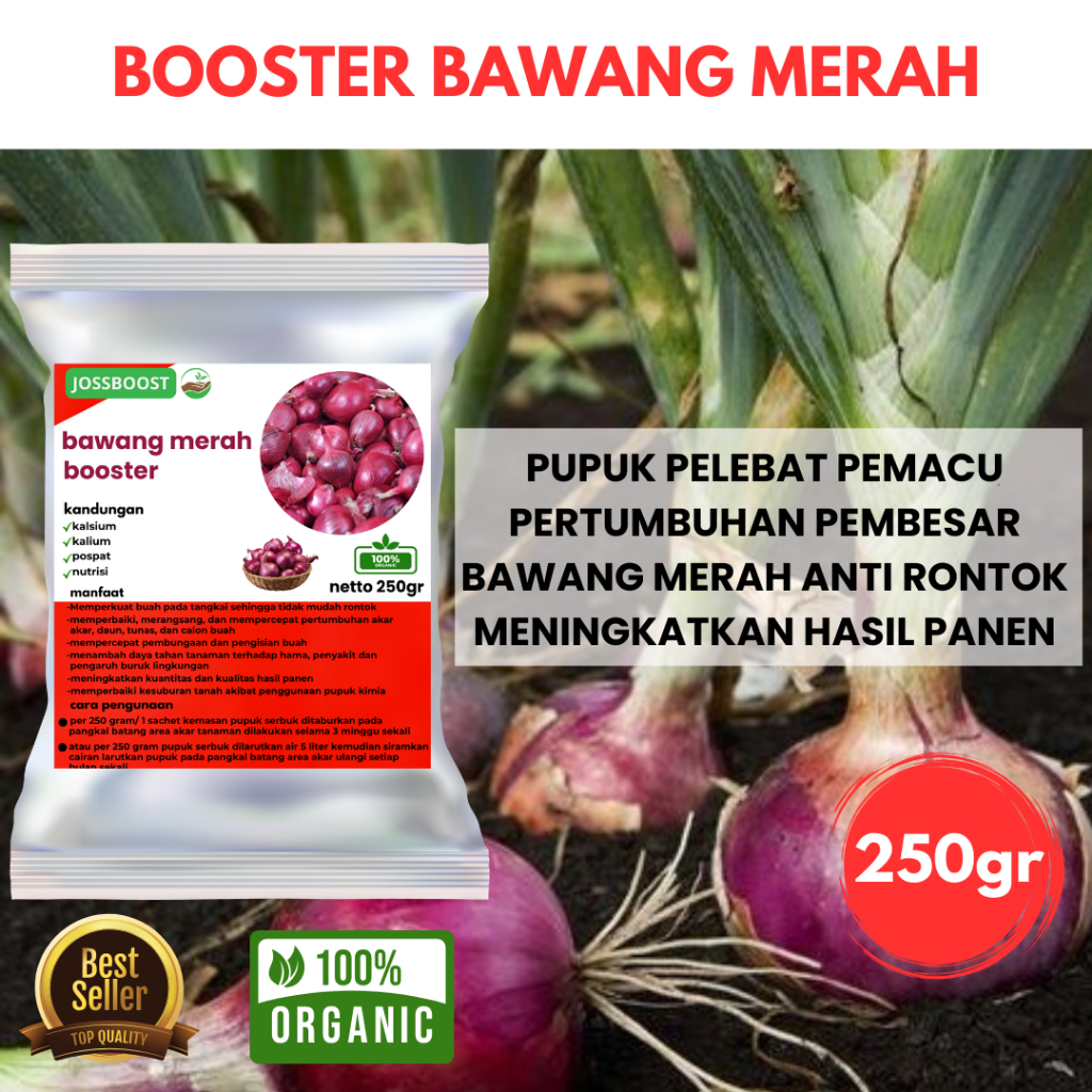 Jual Pupuk Organik Pelebat Bawang Merah Pupuk Khusus Tanaman Bawang Pupuk Booster Bawang Pupuk ...