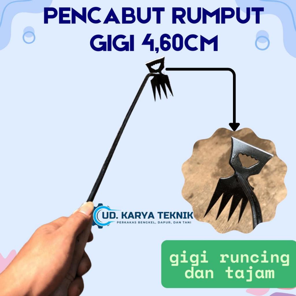 Jual Alat Pencabut Rumput Liar Di Halaman Rumah / Sekop Berkebun Empat ...