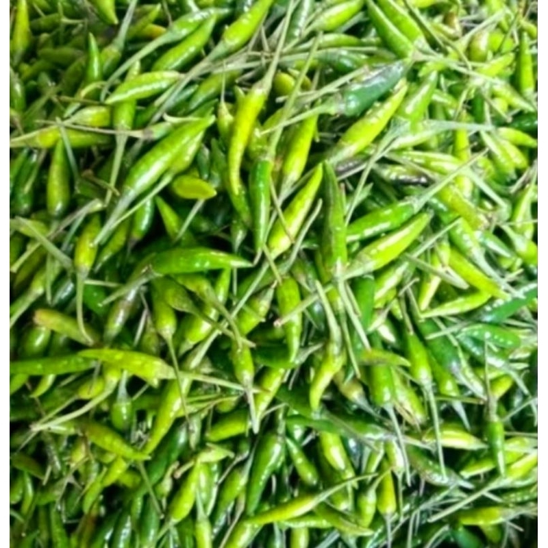 Jual Cabai Rawit Hijau 1 kg | Shopee Indonesia