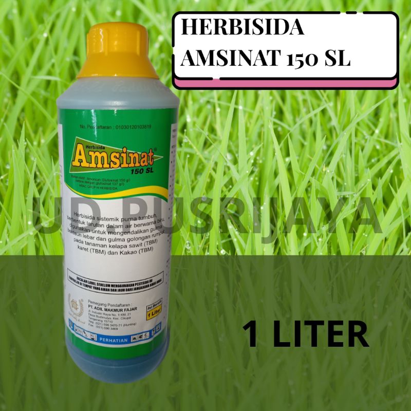 Jual HERBISIDA AMSINAT 150 SL PEMBASMI RUMPUT LULANGAN | Shopee Indonesia