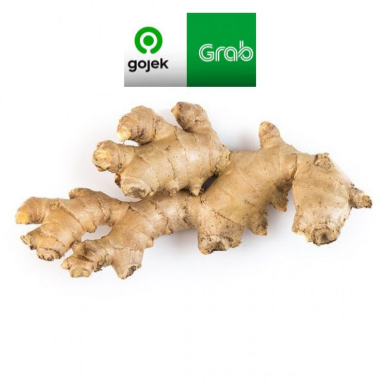 Jual jahe segar jahe putih jahe gajah | Shopee Indonesia