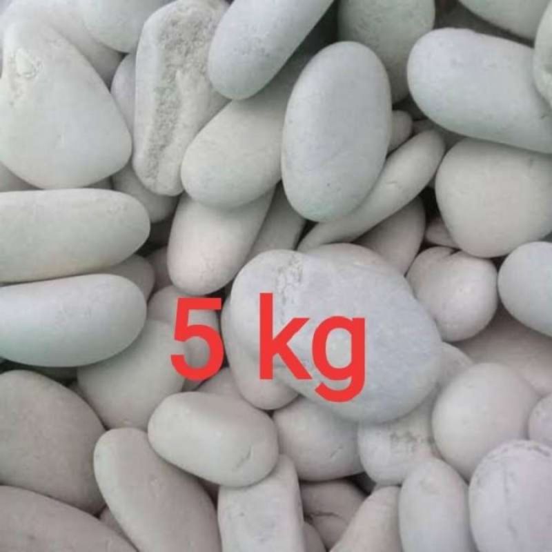 Jual Batu alam koral putih kristal 5kg | Shopee Indonesia
