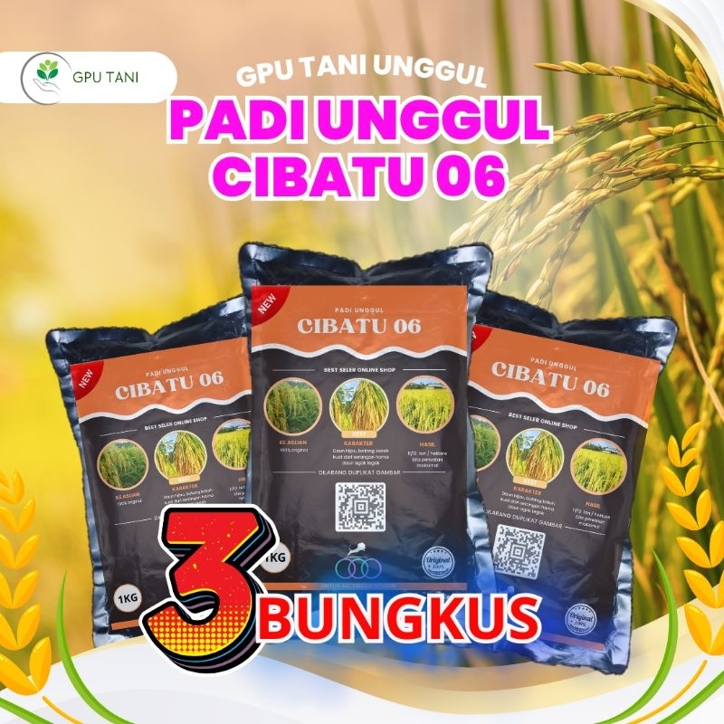 Jual Benih padi unggul cibatu 06 asli padi cibatu 06 original super isi ...