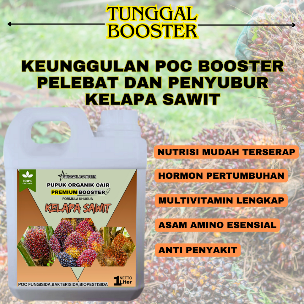 Jual Pupuk Organik Cair Tanaman Kelapa Sawit, Booster Pelebat dan Perangsang Kelapa Sawit ...