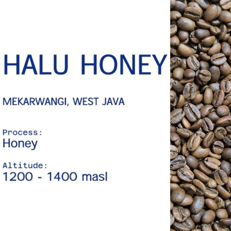 Jual BIJI KOPI 200 GRAM ARABIKA JAVA PREANGER HALU BANANA HONEY ...