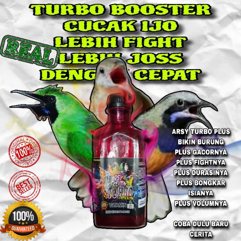 Jual PENGGACOR BURUNG CUCAK IJO ,CUNGKO,KAPAS TEMBAK KINOY DENGAN CEPAT ...