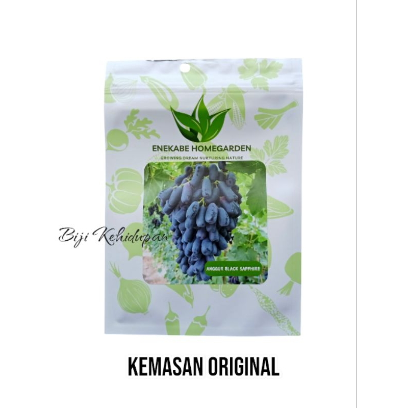 Jual 15 BUTIR BENIH TANAMAN ANGGUR BLACK SAPPHIRE (KEMASAN ORIGINAL ...
