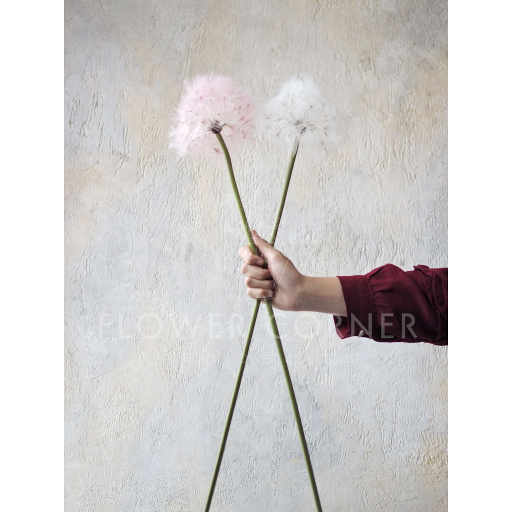 Jual Bunga Artificial Giant Dandelion Premium Tangkai Panjang (B24132 ...