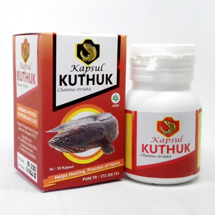 Jual KAPSUL KUTUK PREMIUM QUALITY KUTHUK Albumin Ikan Gabus ORI BPOM Obat Herbal pengering Luka ...