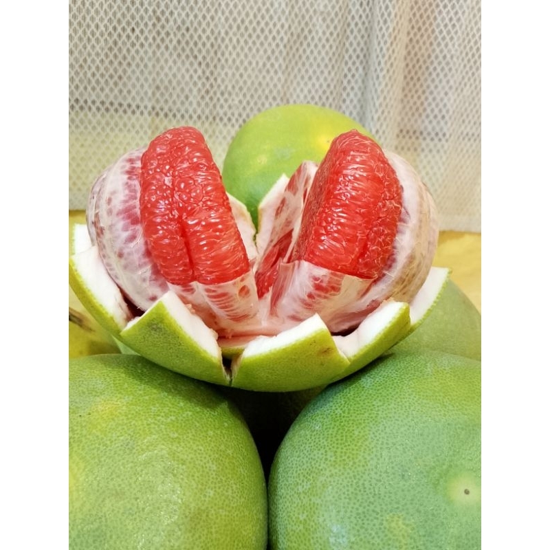 Jual jeruk pamelo jeruk Bali merah | Shopee Indonesia