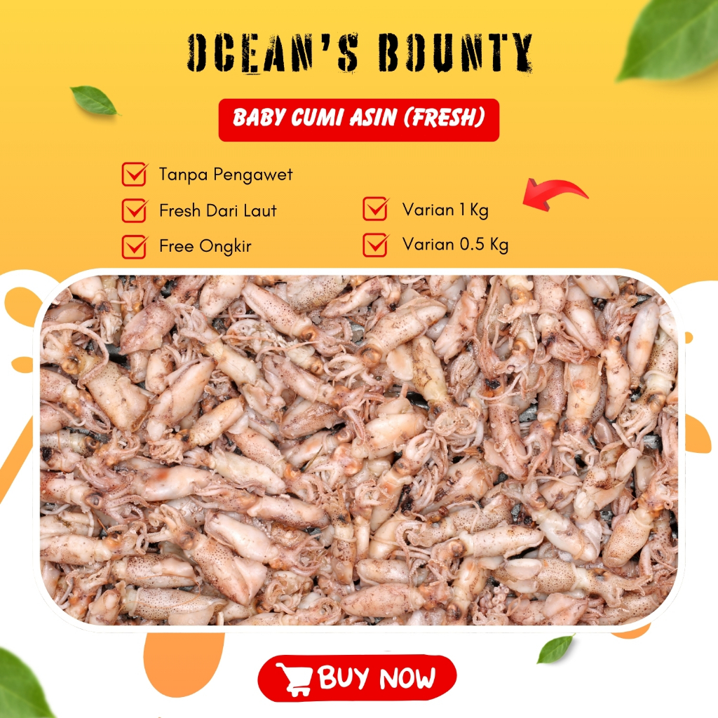 Jual Baby Cumi Kering Asin Bayi Ikan Laut Segar 1kg FRESH Premium ...