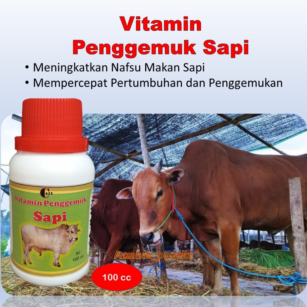 Jual Vitamin Penggemuk Sapi C625 / Vitamin Sapi Agar Cepat Gemuk ...