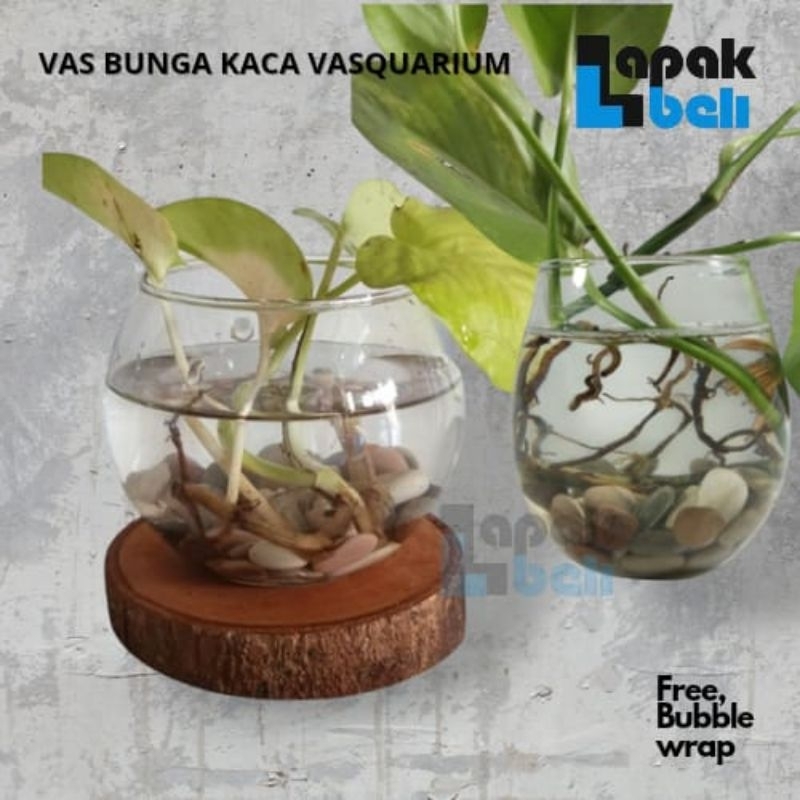 Jual VAS BUNGA KACA MINIMALIS | VAS KACA BALON | VAS KACA BULAT| VAS ...