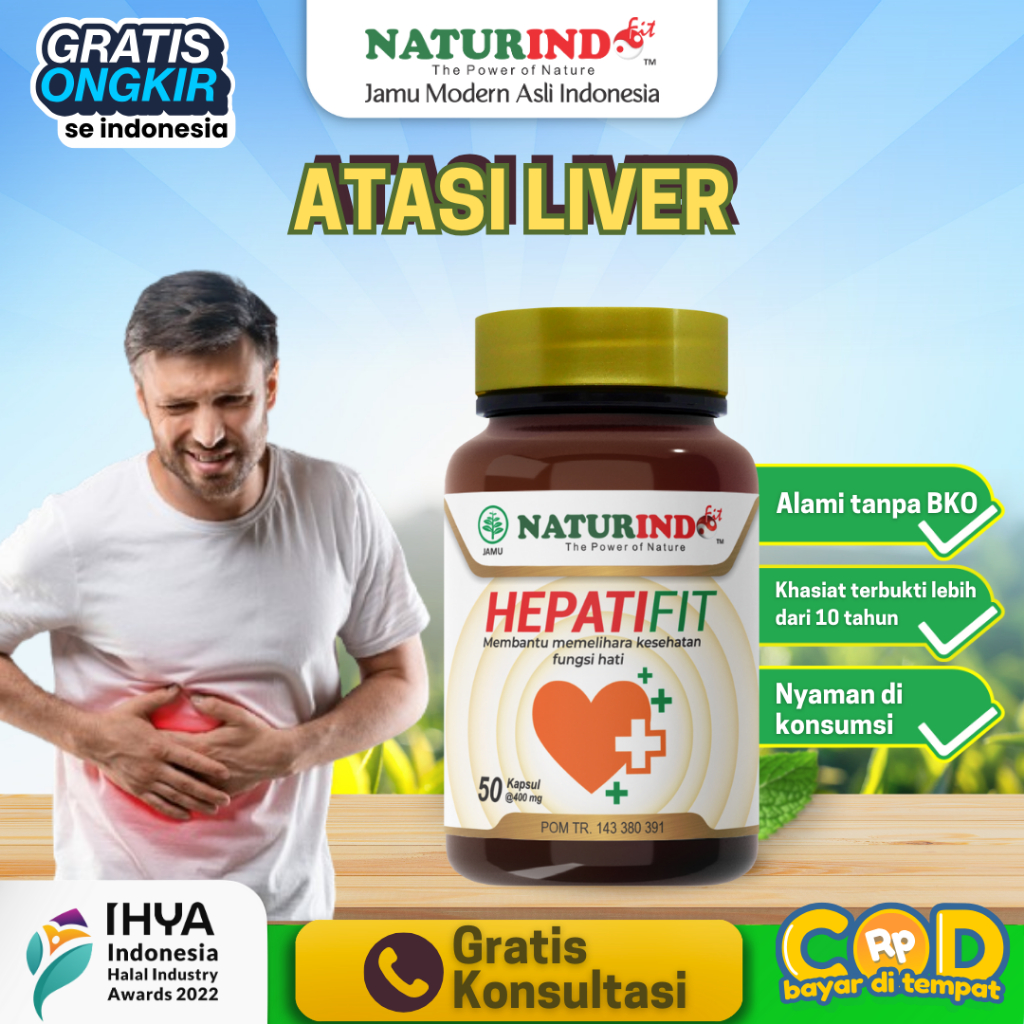 Jual Herbal Liver Hepatitis A B C D E Mata Kuning Hepatitif Naturindo | Shopee Indonesia