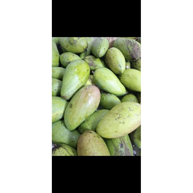 Jual (ISI 2) MANGGA KYOJAY SUPER | Shopee Indonesia