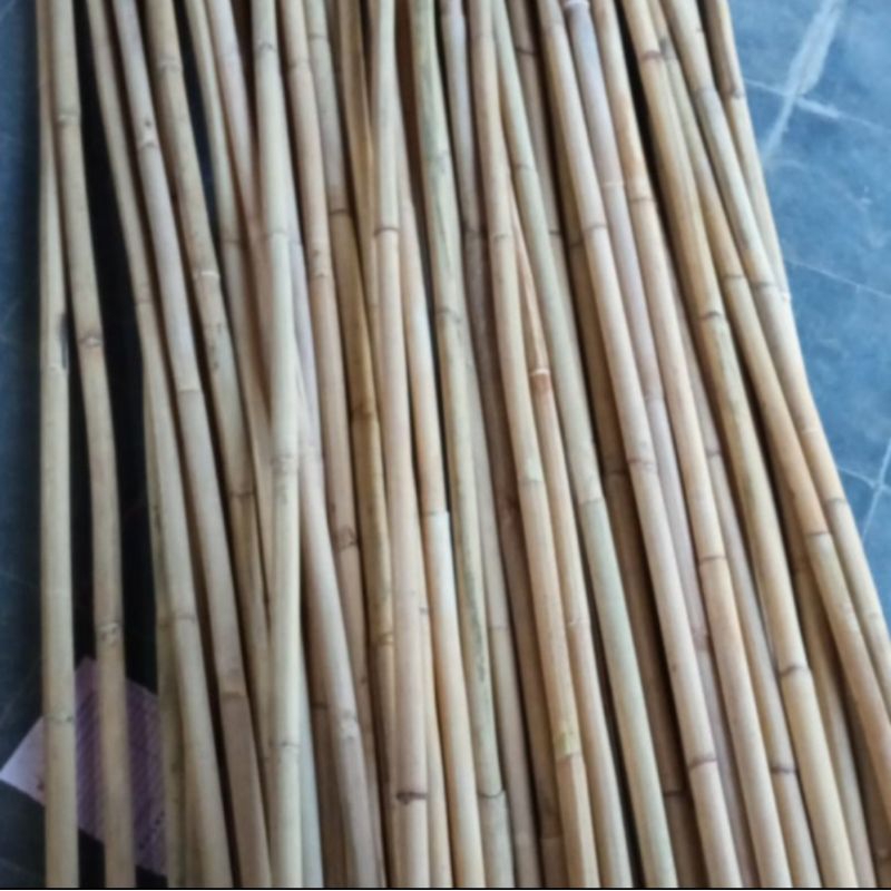 Jual Stik rotan kulit 10mm panjang 1,5m | Shopee Indonesia