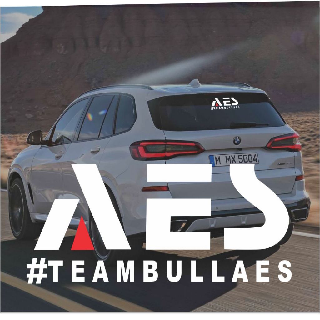 Jual STICKER CUTTING AES #TEAMBULLAES | Shopee Indonesia
