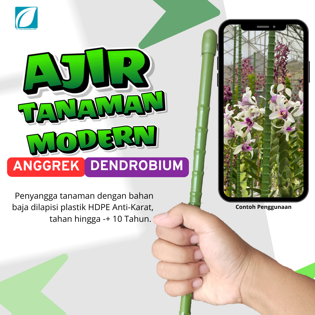 Jual Ajir Modern Anggrek Dendrobium 20x2400 mm | Shopee Indonesia