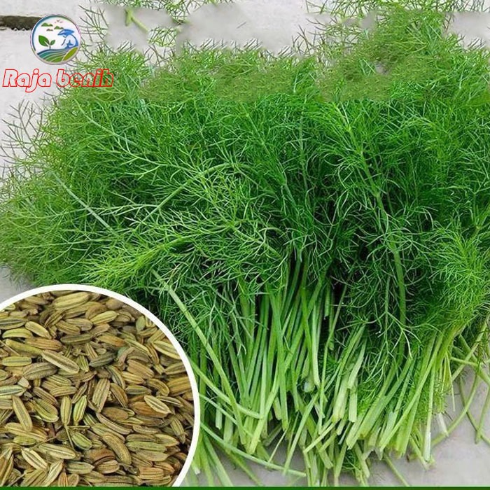Jual Benih adas | benih sayuran | benih sayur adas isi 1000 AA - 022 ...