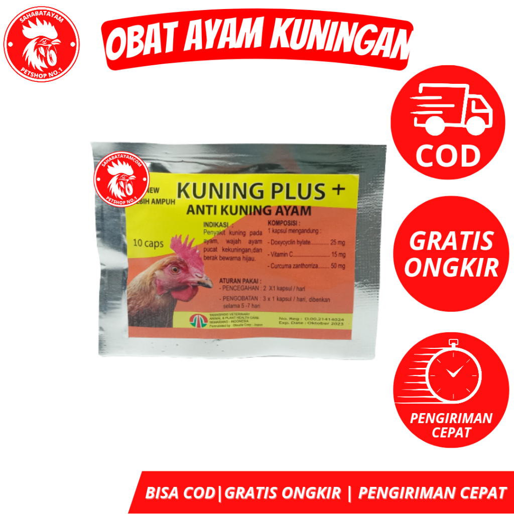 Jual Kuning Plus Mengobati Ayam Pucat Anemia | Shopee Indonesia