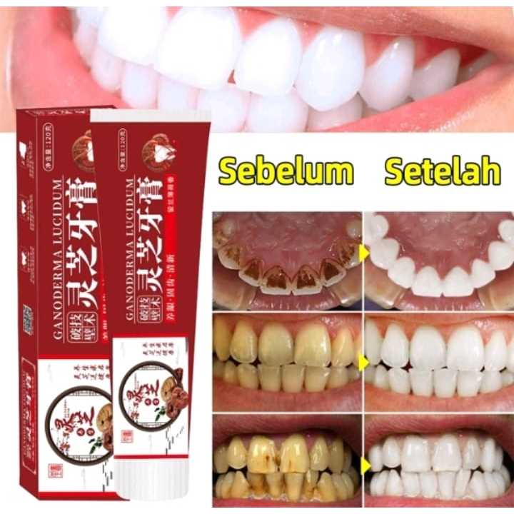 Jual Ganoderma 2 pcs untuk pembuatan apa? Jamur obat, terutama ...