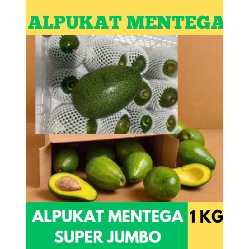 Jual Alpukat Mentega Super Jumbo #alpukat #alpukatmentega # ...