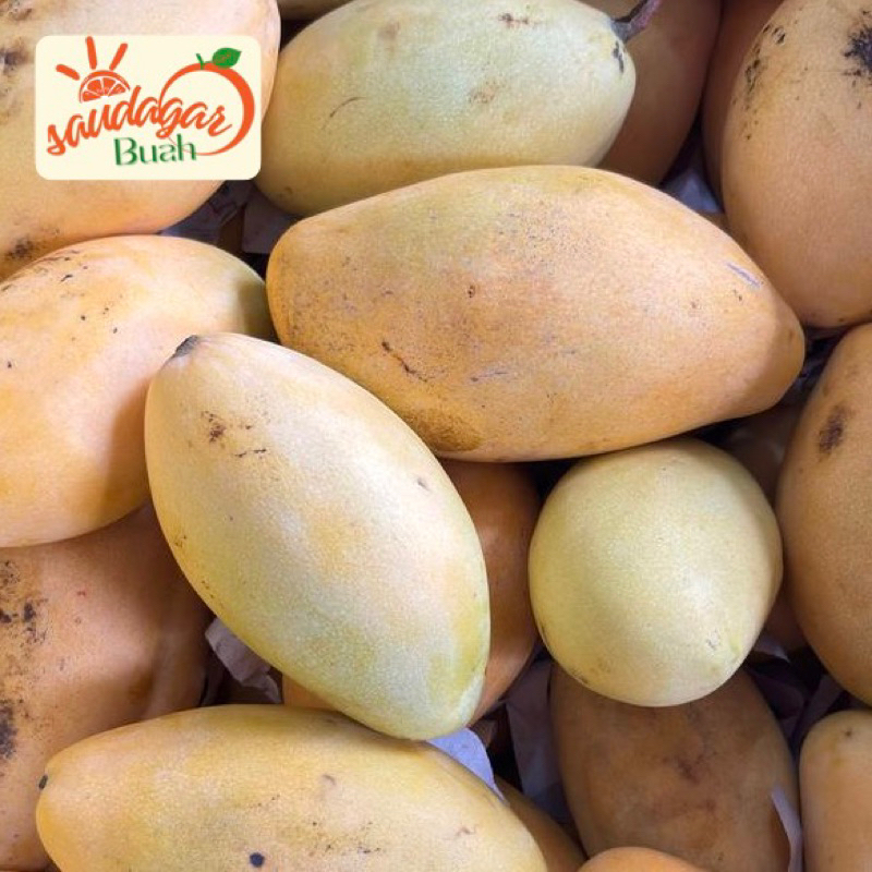 Jual BUAH MANGGA THAILAND MANGGA LOK MAY MANIS 1KG | Shopee Indonesia