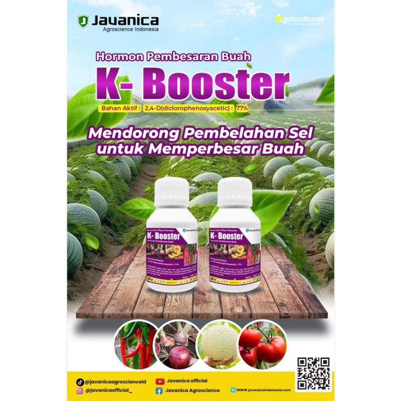 Jual JAVANICA / K - BOOSTER ( 100 ML ) | Shopee Indonesia