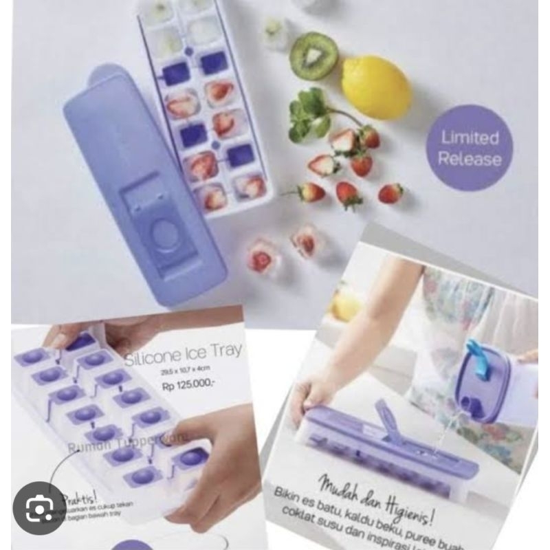 Jual Silicon ICe tray Tupperware | Shopee Indonesia