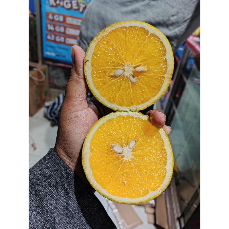 Jual JERUK BABY JAVA MALANG ASLI MANIS HARGA PER KG | Shopee Indonesia