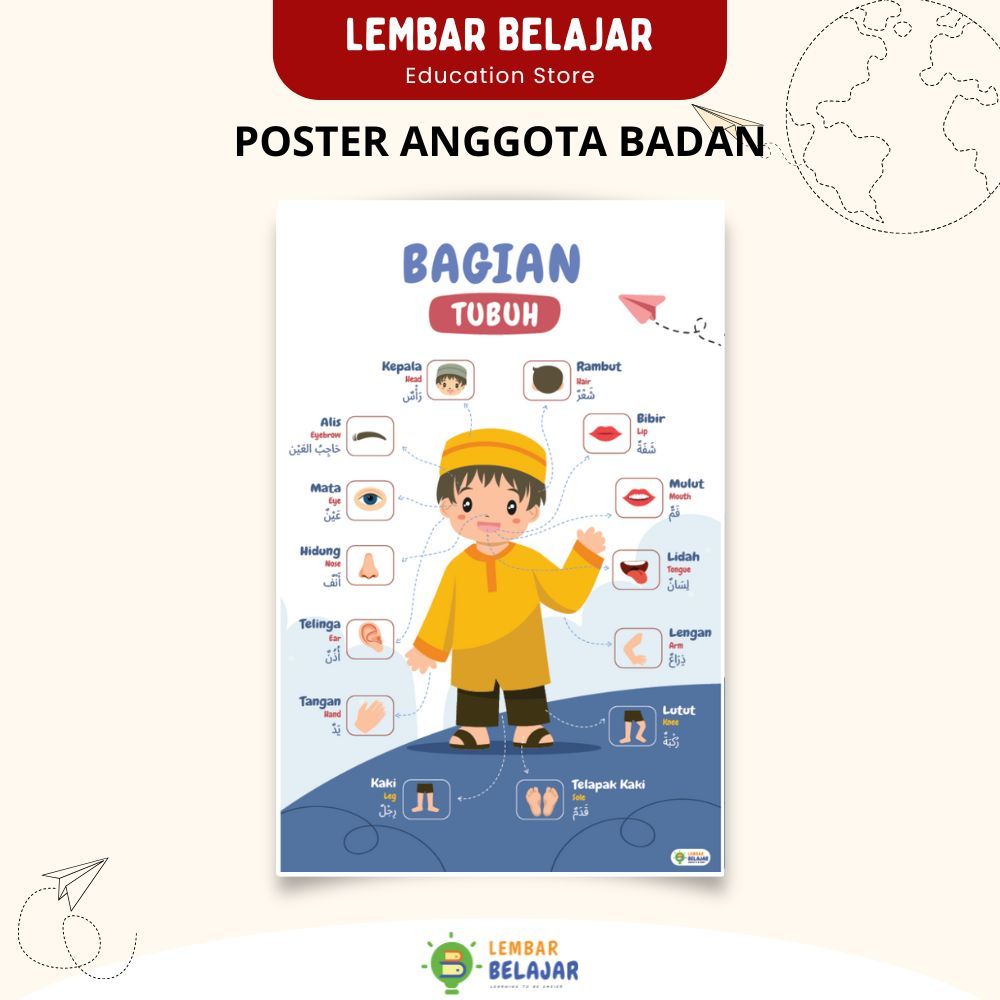 Jual LEMBAR BELAJAR Poster Edukasi Mengenal Anggota Badan Anak Laki ...