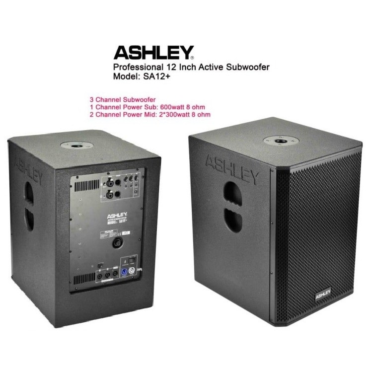 Jual SUBWOOFER SPEAKER ASHLEY SA 12+ 12 INCH SA12+ | Shopee Indonesia