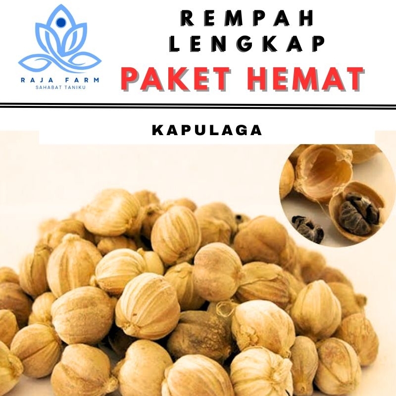 Jual Rempah Kapulaga Bumbu Dapur Paket Hemat Kapolaga Putih | Shopee ...
