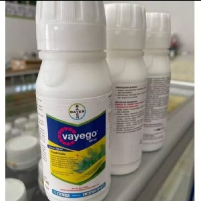 Jual vayego 100ml | Shopee Indonesia