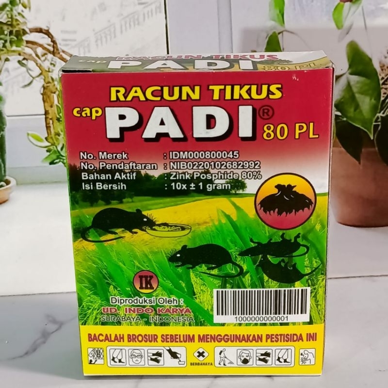 Jual Racun Tikus Cap PADI Isi 10 Shaset | Shopee Indonesia
