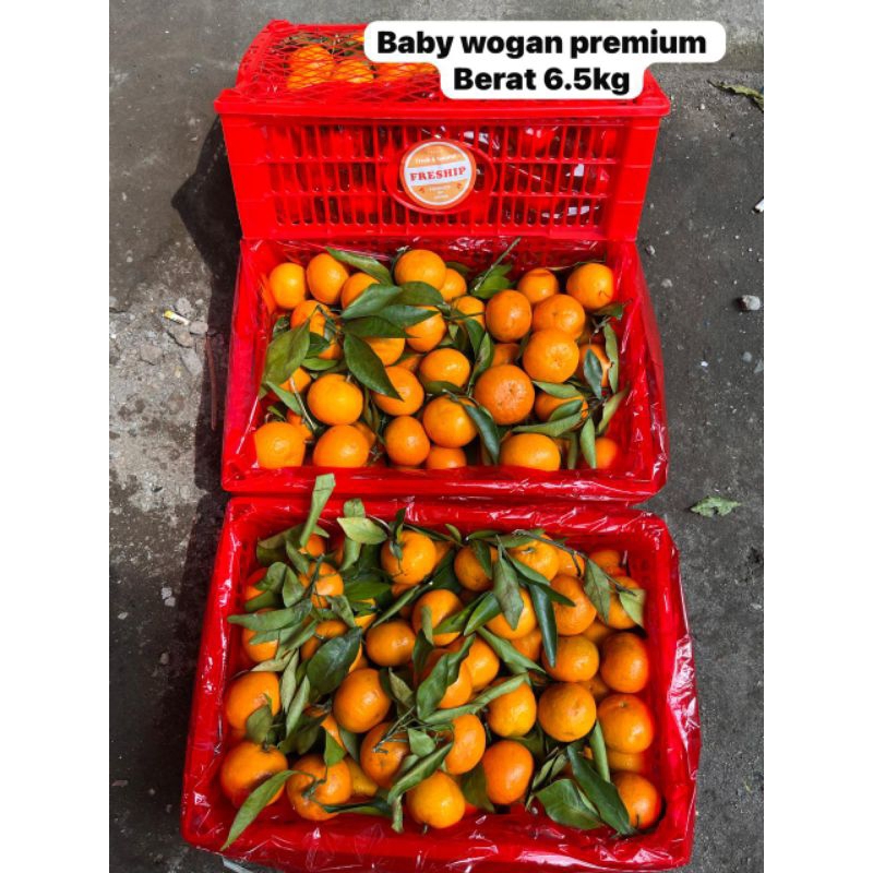 Jual JERUK BABY WOGAN PER KG | Shopee Indonesia