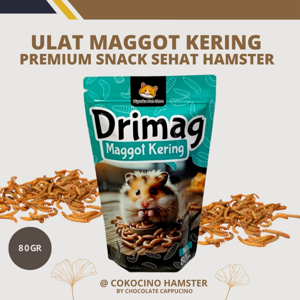 Jual Ulat Magot Kering Drimag Dry Dried Maggot Snack Cemilan Protein ...
