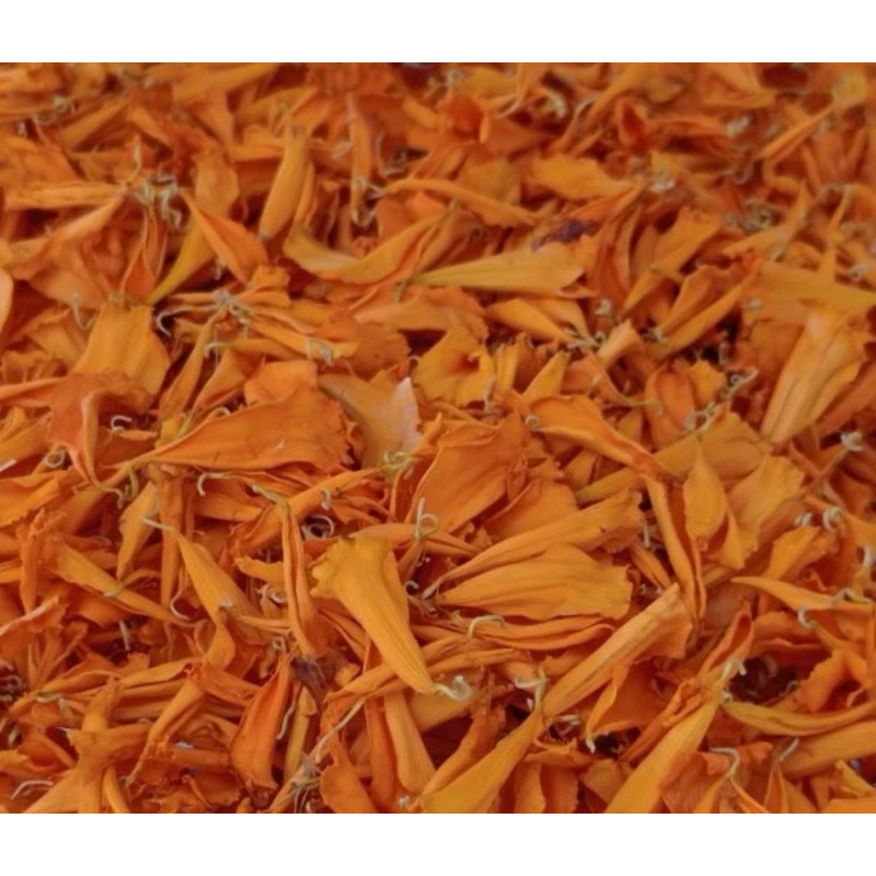 Jual Marigold Dried Bunga Gumitir Kering 1 Kg | Shopee Indonesia