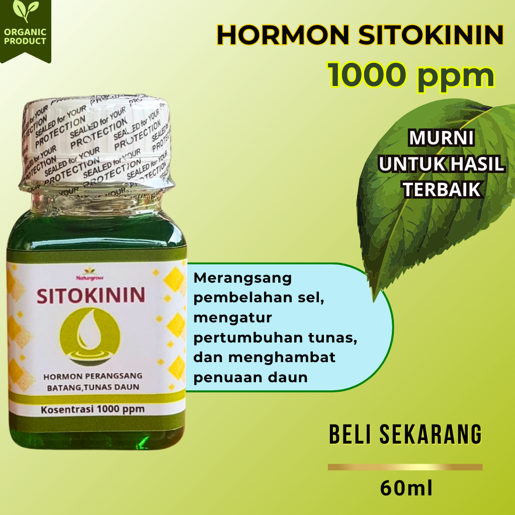 Jual Sitokinin Murni 1000 ppm-Hormon Tanaman pembentukan tunas Menjaga ...