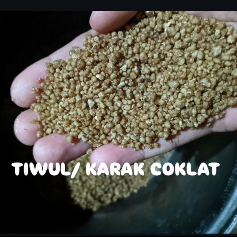 Jual TiIWUL /KARAK JAWA ASLII ENAK | Shopee Indonesia