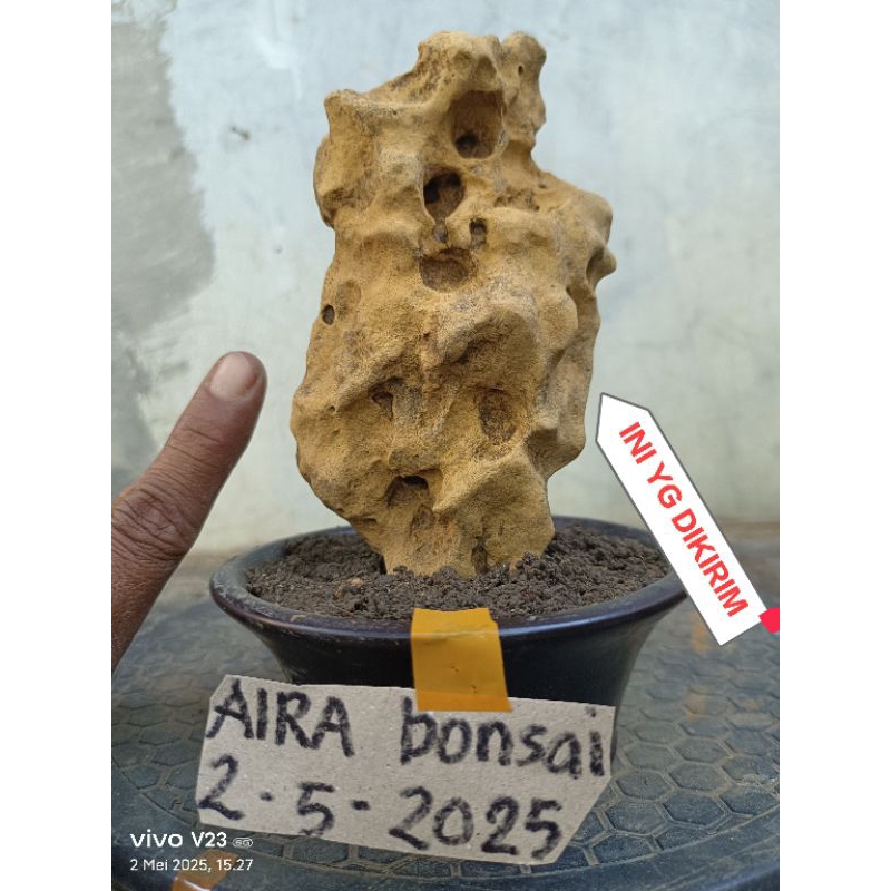 Jual batu untuk bonsai on the rock | Shopee Indonesia