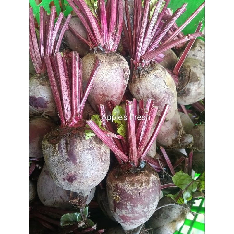 Jual Buah bit 1kg isi 2-4 dalam 1kg | Shopee Indonesia