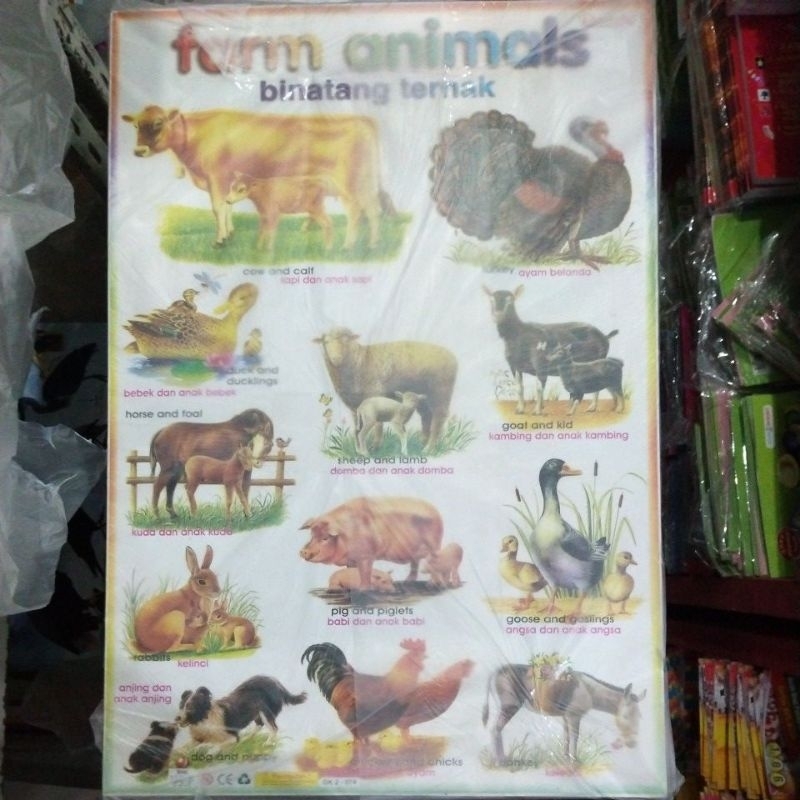 Jual Poster Binatang Ternak Farm Animals | Shopee Indonesia