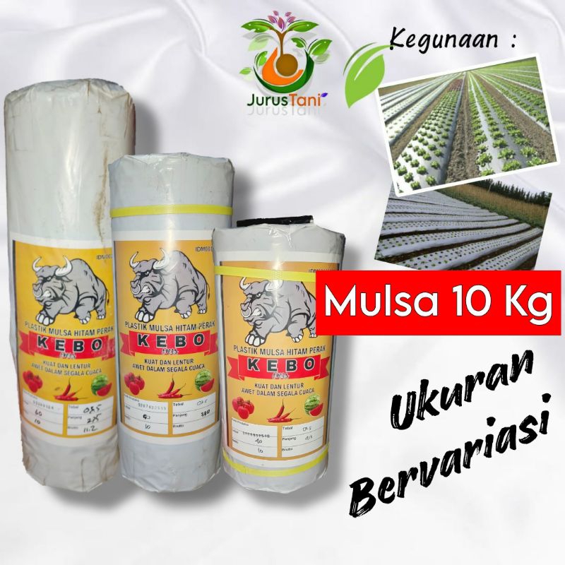 Jual Plastik Mulsa Hitam Perak 1 Roll 10 Kg/Mulsa Pertanian cap Kebo ...