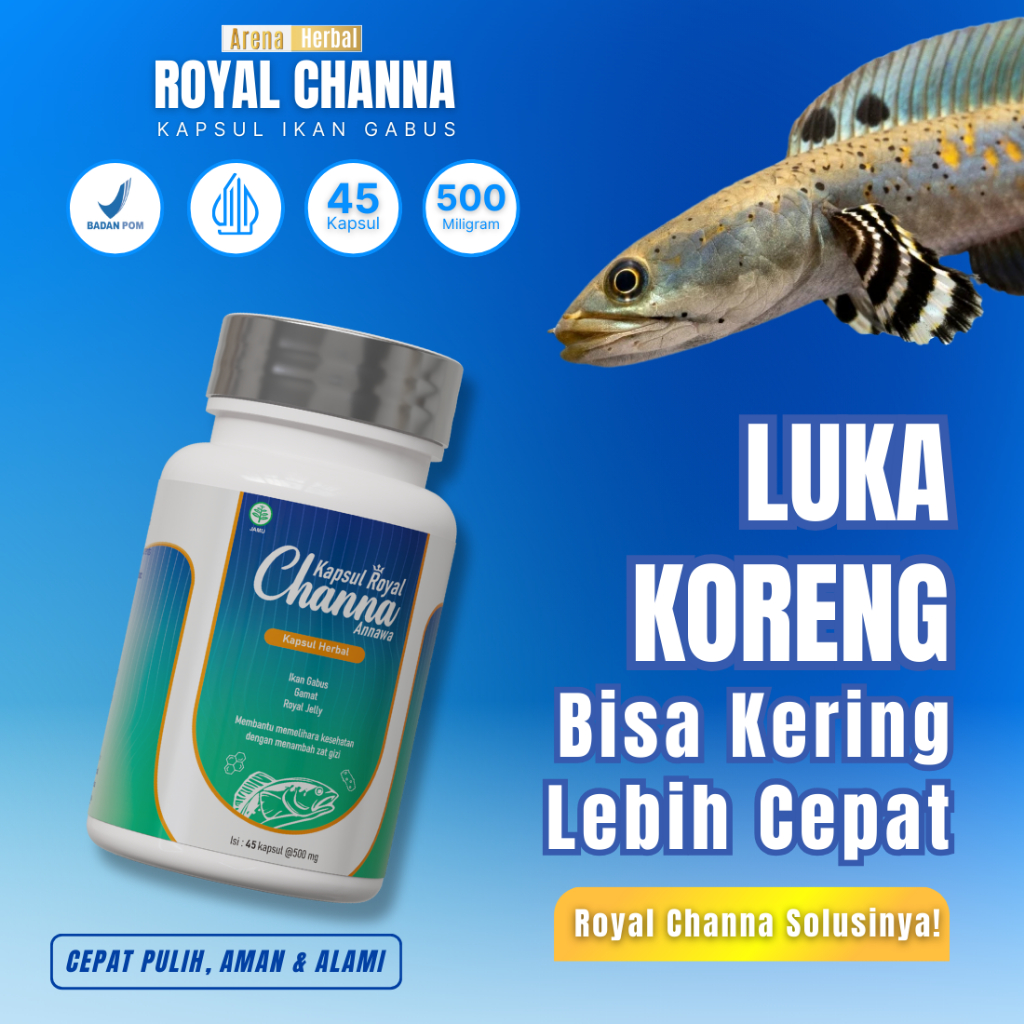 Jual Royal Channa - Albuminos Kapsul Ekstrak Ikan Gabus 500 mg Kutuk Perawatan Luka Pasca ...