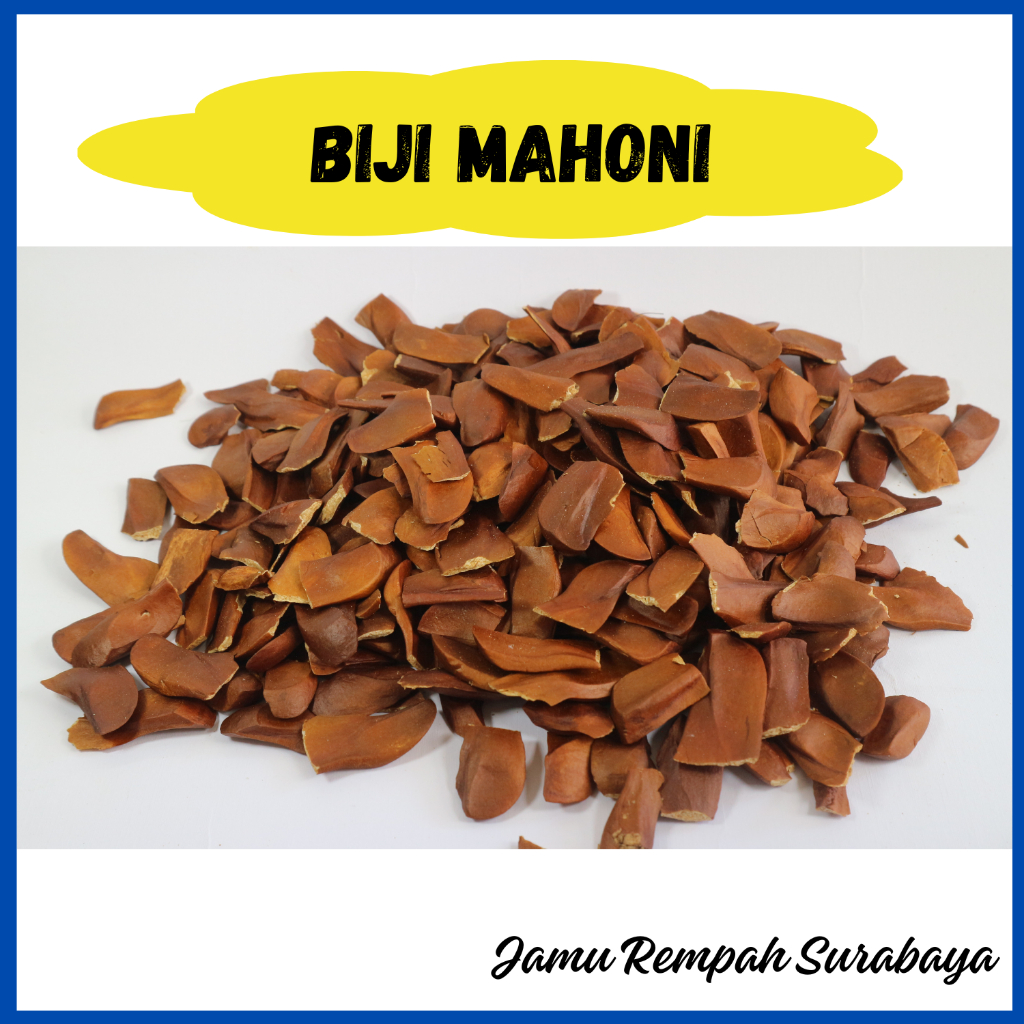 Jual Biji Buah Mahoni Kering, KULIT | Shopee Indonesia